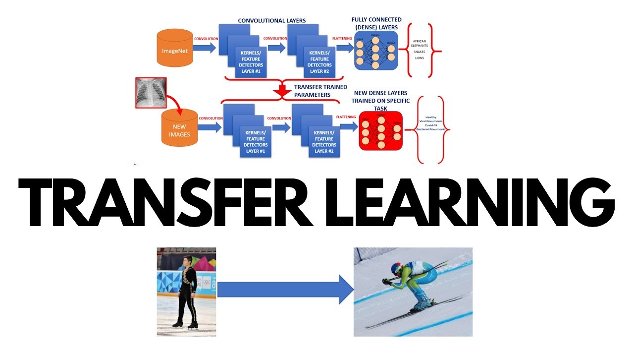 Unlocking the Potential of Transfer Learning in AI Unlocking the Potential of Transfer Learning in AI