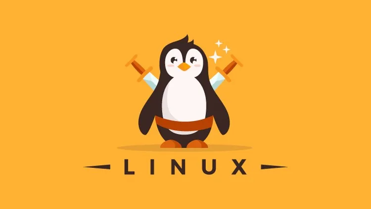 Mastering Command Line Basics: ls, pwd, cd, and mkdir Mastering Command Line Basics: ls, pwd, cd, and mkdir
