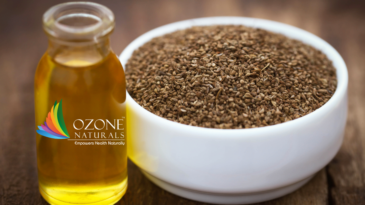 Co2 Ajowan Oil, Liquid Ajowan Oil, Ajowan Oil Manufacturer, Scfe Ajowan ... Co2 Ajowan Oil, Liquid Ajowan Oil, Ajowan Oil Manufacturer, Scfe Ajowan ...