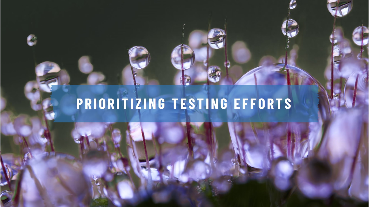 Strategies for Prioritizing Testing Efforts Based on Risk Strategies for Prioritizing Testing Efforts Based on Risk