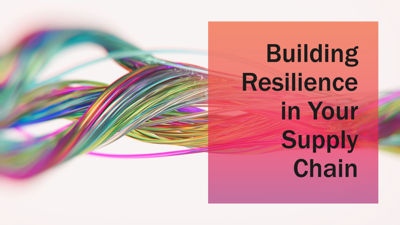 Building Supply Chain Resilience Building Supply Chain Resilience
