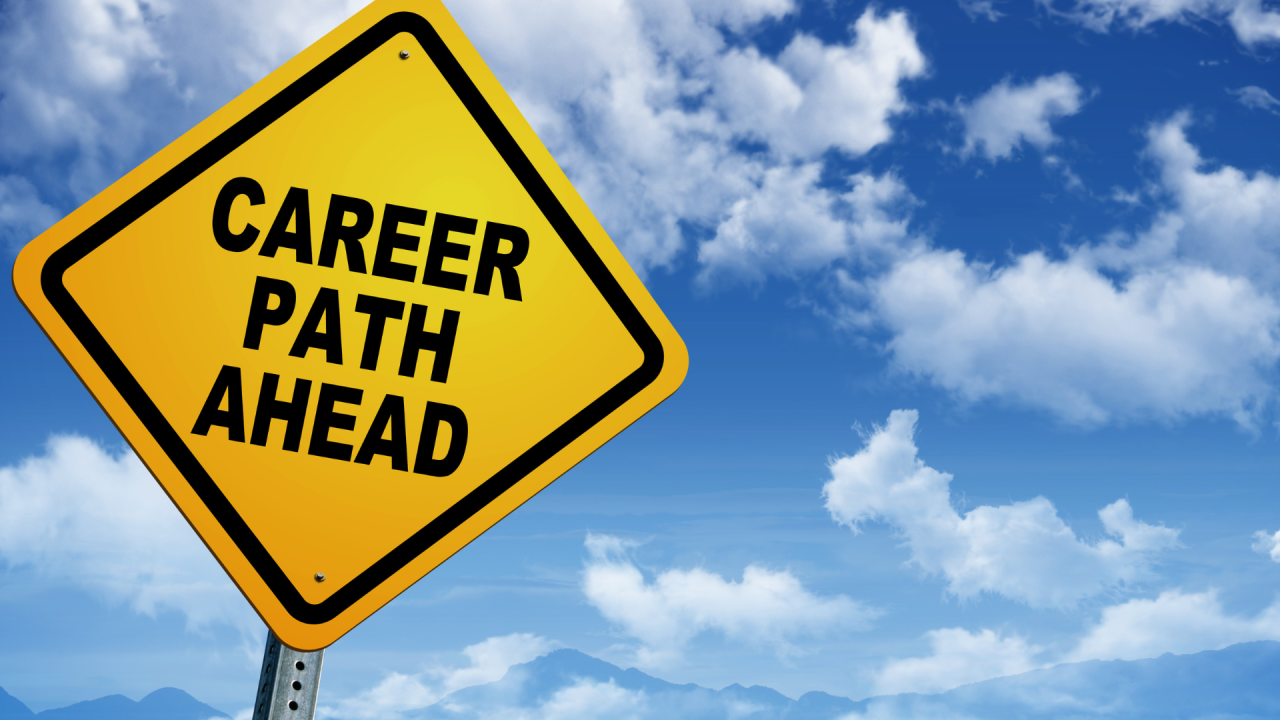 Demystifying the Career Maze: Empowering Students Through Personalized ... Demystifying the Career Maze: Empowering Students Through Personalized ...