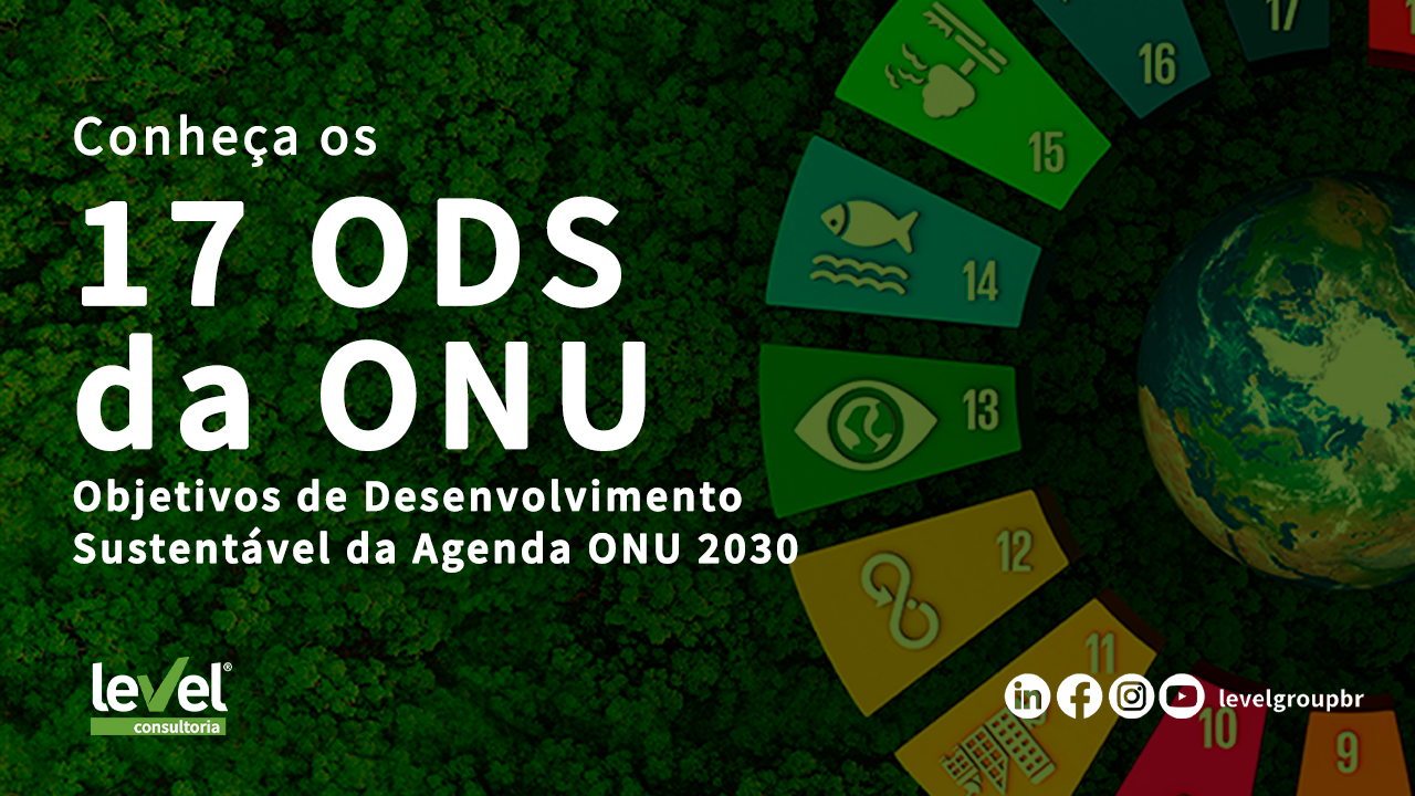 17 ODS da ONU 17 ODS da ONU