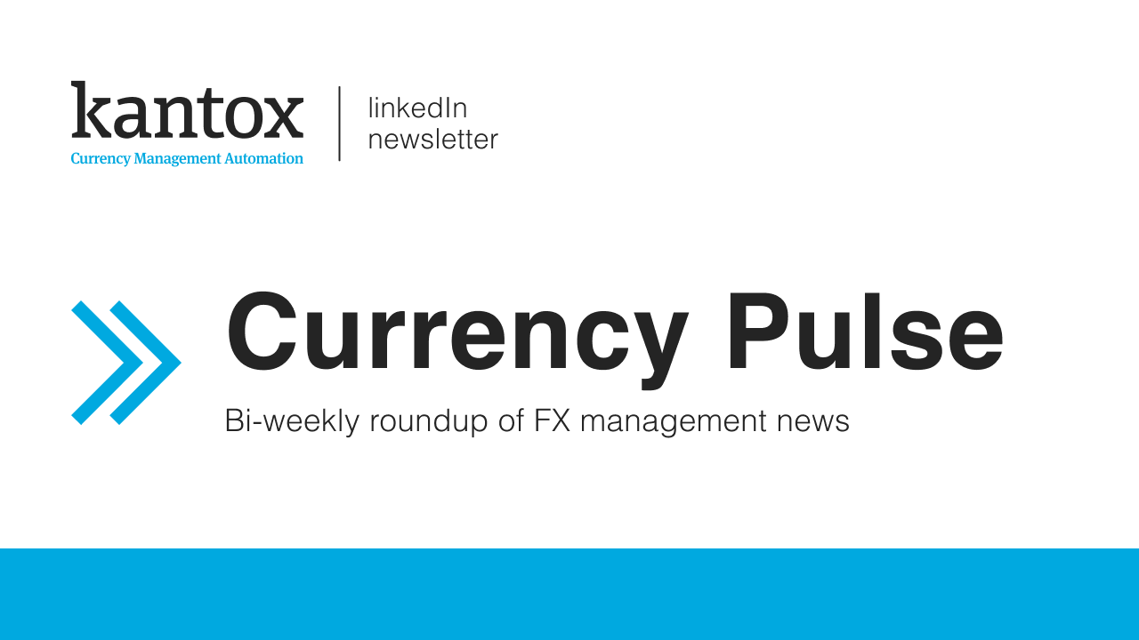 Currency Pulse #5 - Discrete vs. End-to-end Automation Currency Pulse #5 - Discrete vs. End-to-end Automation