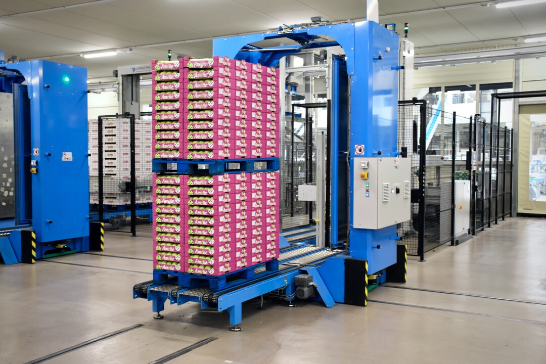 Overcoming warehouse automation challenges Overcoming warehouse automation challenges