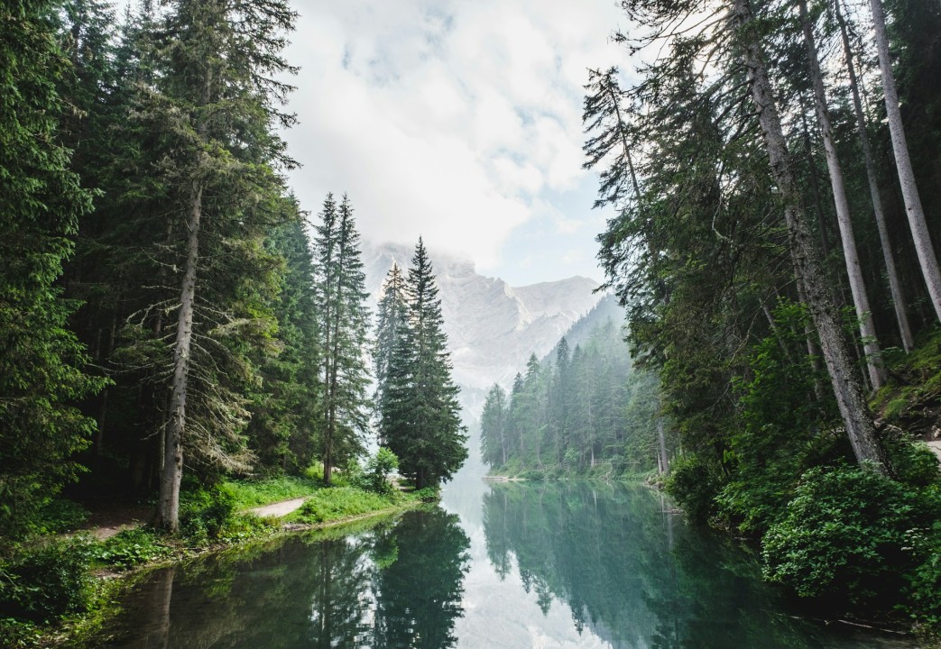 Decoding the Labyrinth: Your Guide to Sustainability Reporting Frameworks Decoding the Labyrinth: Your Guide to Sustainability Reporting Frameworks