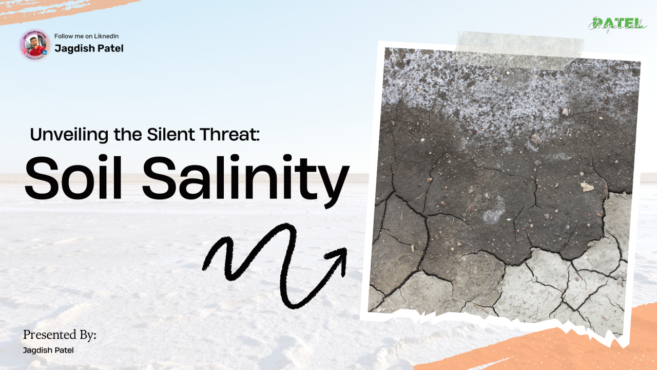 Unveiling the Silent Threat: Understanding and Managing Soil Salinity Unveiling the Silent Threat: Understanding and Managing Soil Salinity
