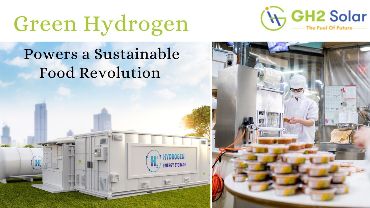 Revolutionizing the Food Industry: The Transformative Impact of Green ... Revolutionizing the Food Industry: The Transformative Impact of Green ...