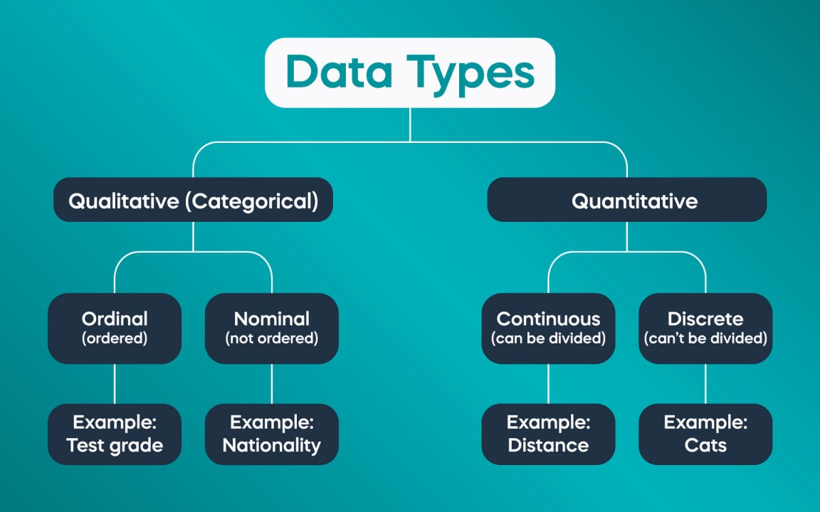 Data 101: Understanding Data Types Data 101: Understanding Data Types