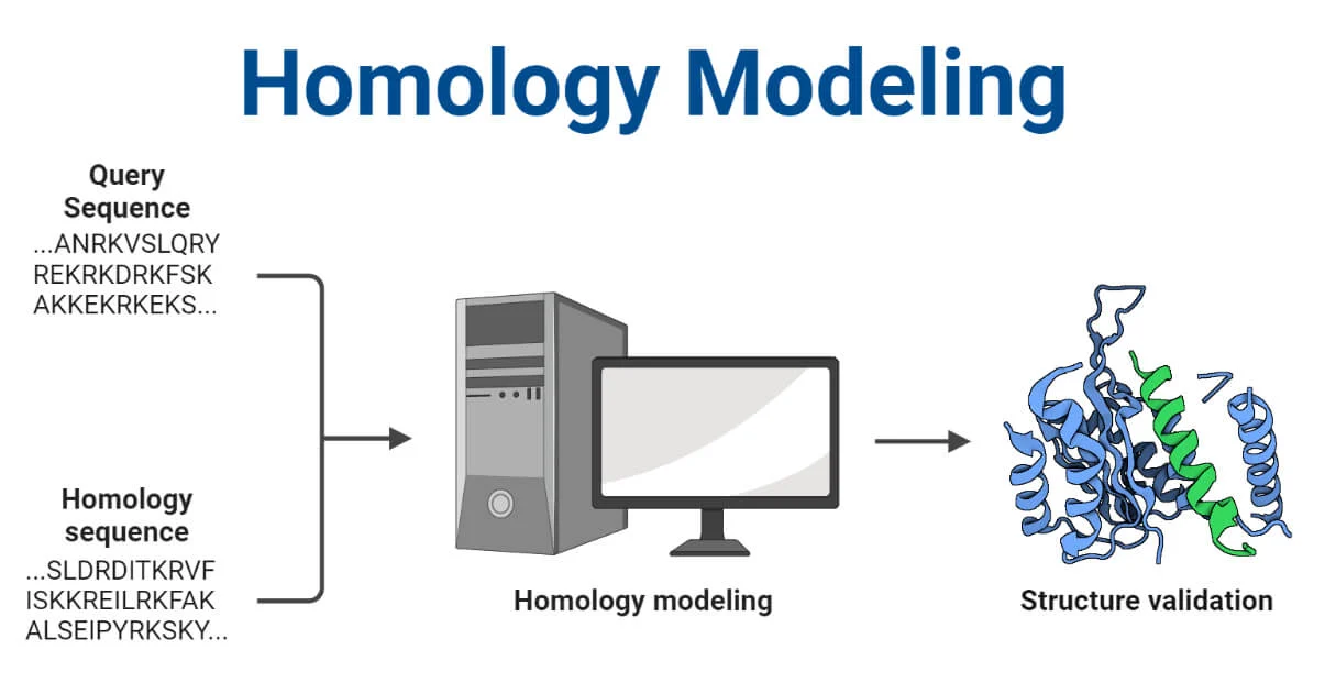 Homology Modeling in Structural Bioinformatics: Advancing Scientific ... Homology Modeling in Structural Bioinformatics: Advancing Scientific ...