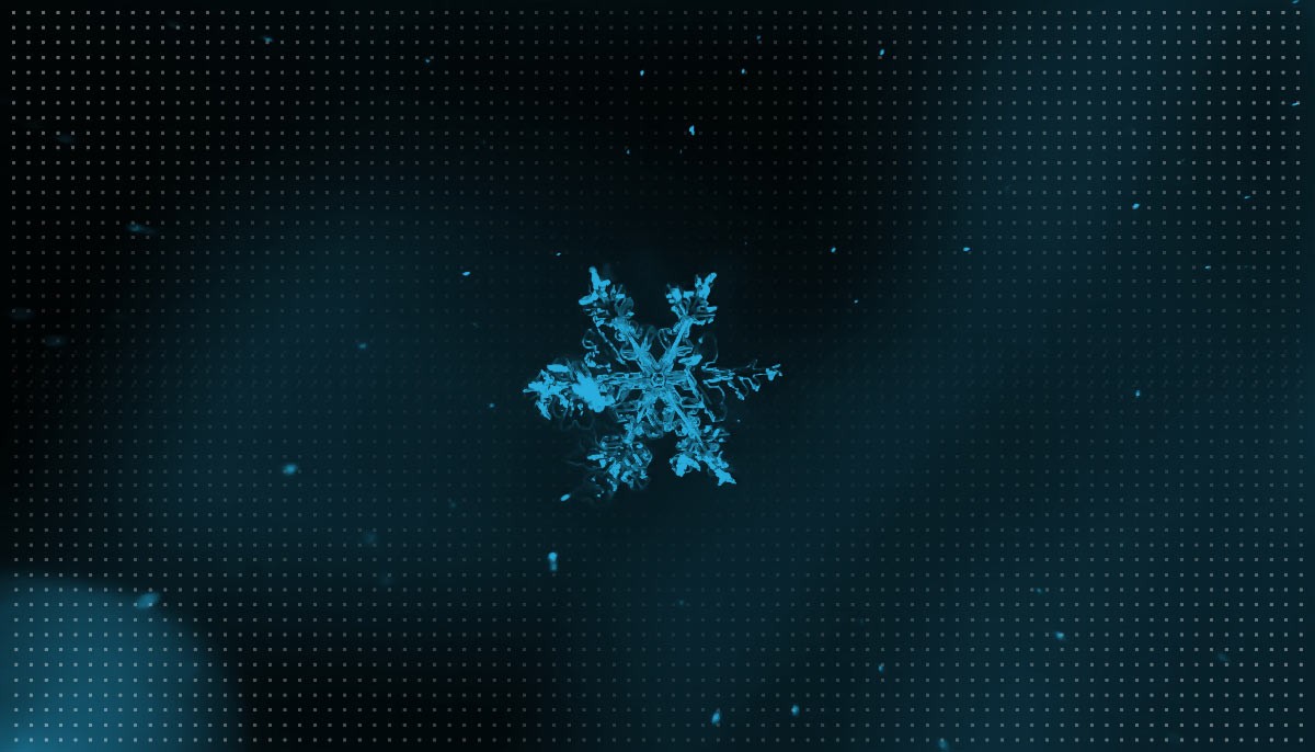 Snowflake+Java War Story Snowflake+Java War Story