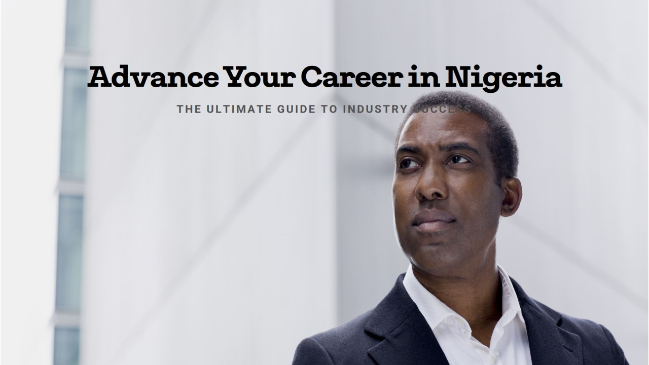 The Ultimate Guide to Advancing Your Career in Nigeria's Hottest Industries The Ultimate Guide to Advancing Your Career in Nigeria's Hottest Industries