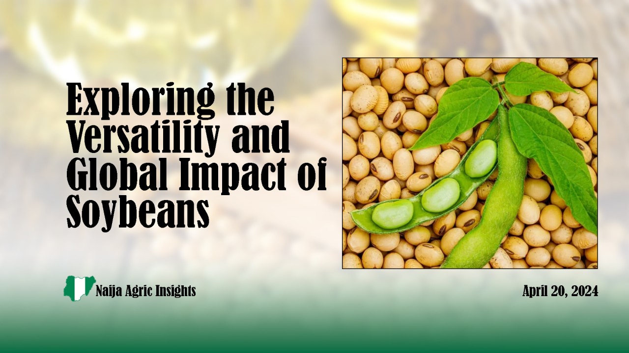Exploring the Versatility and Global Impact of Soybeans Exploring the Versatility and Global Impact of Soybeans