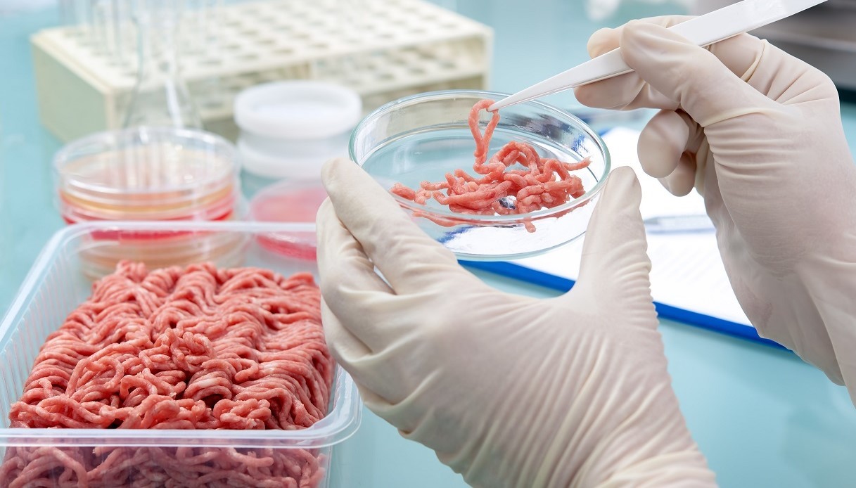 Carne coltivata... in laboratorio! Carne coltivata... in laboratorio!