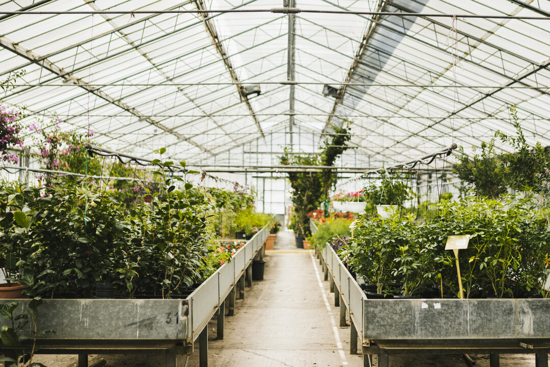 Smart Greenhouse - Comprehensive Study Smart Greenhouse - Comprehensive Study