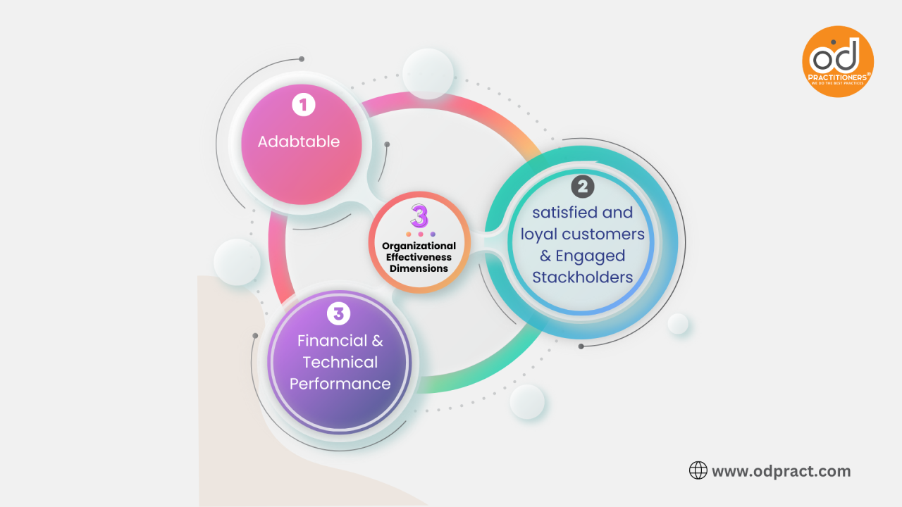 Organizational Effectiveness Dimensions Organizational Effectiveness Dimensions