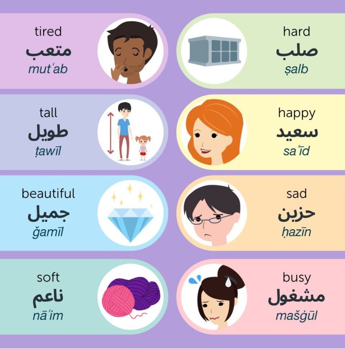 The Power of MindMapping The Power of MindMapping