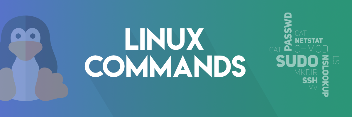 Day 3 Task: Basic Linux Commands Day 3 Task: Basic Linux Commands