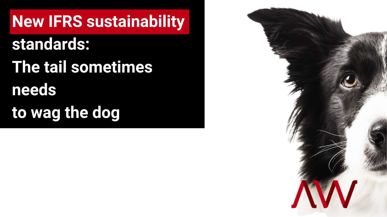New IFRS' sustainability standards: The tail sometimes needs to wag the dog New IFRS' sustainability standards: The tail sometimes needs to wag the dog