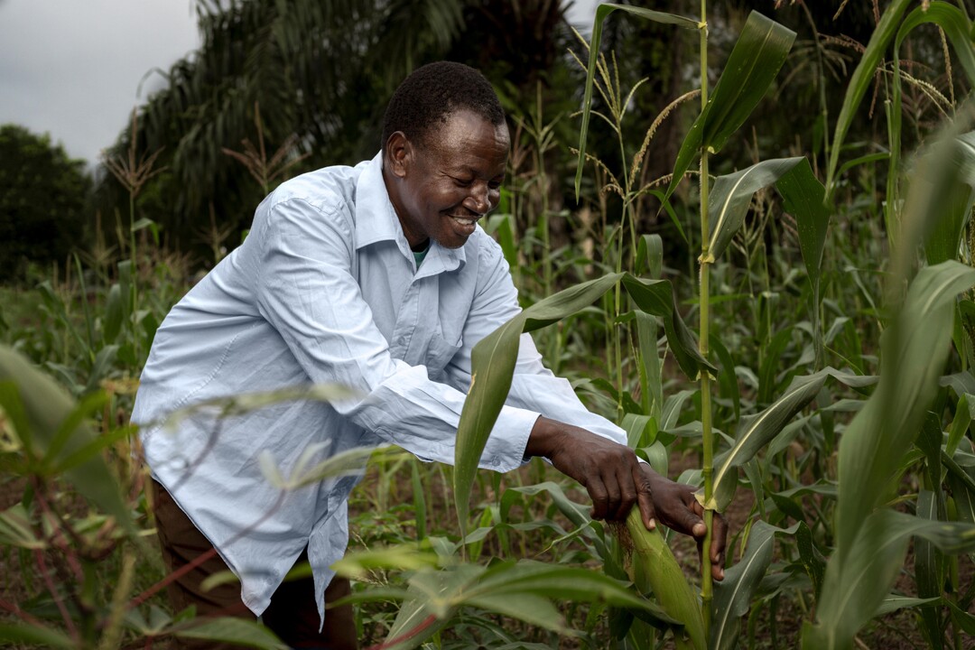 Unlocking Africa's Agricultural Potential: The Key to Economic Growth Unlocking Africa's Agricultural Potential: The Key to Economic Growth