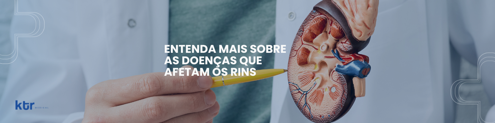 Quando os rins não estão funcionando corretamente, podem causar várias ... Quando os rins não estão funcionando corretamente, podem causar várias ...
