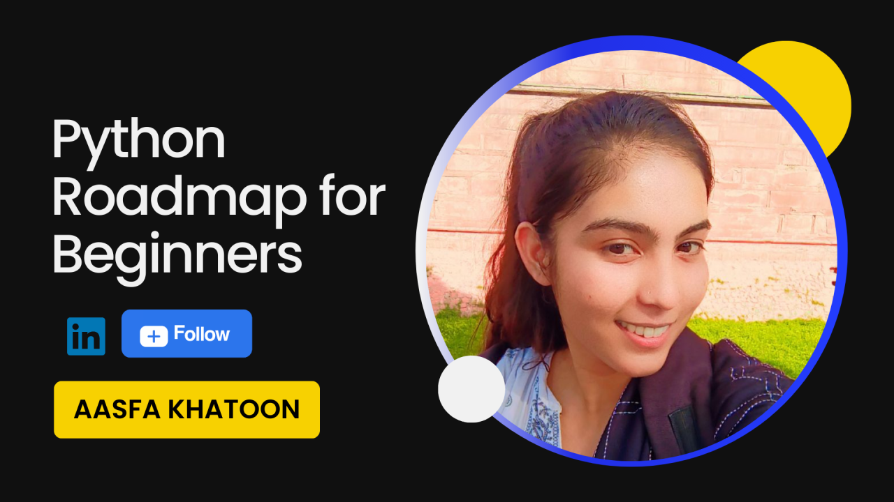 Python Roadmap for Beginners Python Roadmap for Beginners