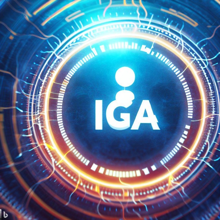 Key Considerations for Implementing Identity Governance (IGA) Key Considerations for Implementing Identity Governance (IGA)
