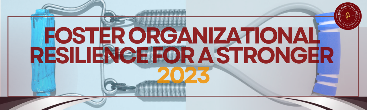 Foster organizational resilience for a stronger 2023 Foster organizational resilience for a stronger 2023