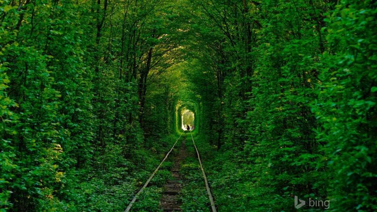 Connecting on AWS DocumentDB Through SSH Tunnel (command line tips) Connecting on AWS DocumentDB Through SSH Tunnel (command line tips)