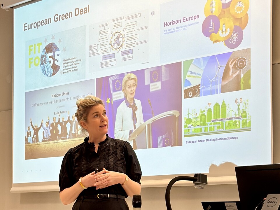 3 Essential Tips for Navigating Public Funding 3 Essential Tips for Navigating Public Funding