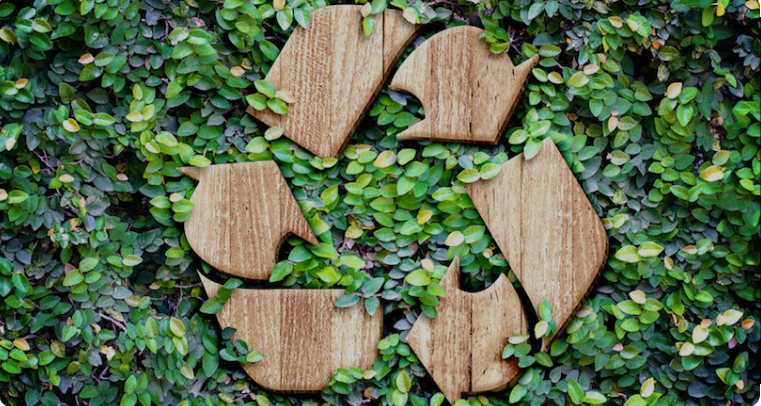 10 Global Brands Leading the Way in Sustainability 10 Global Brands Leading the Way in Sustainability