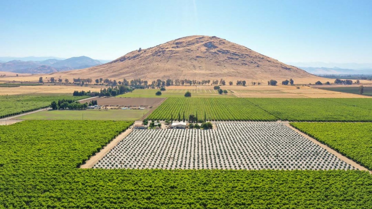 Maximizing Almond Yields and Water Efficiency: The Benefits of Using a ... Maximizing Almond Yields and Water Efficiency: The Benefits of Using a ...