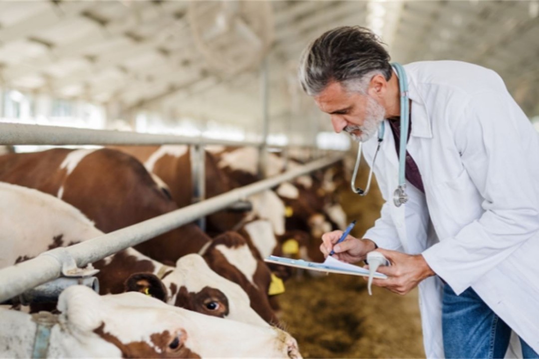 Navigating the Complex Terrain: Challenges and Solutions for Veterinary ... Navigating the Complex Terrain: Challenges and Solutions for Veterinary ...