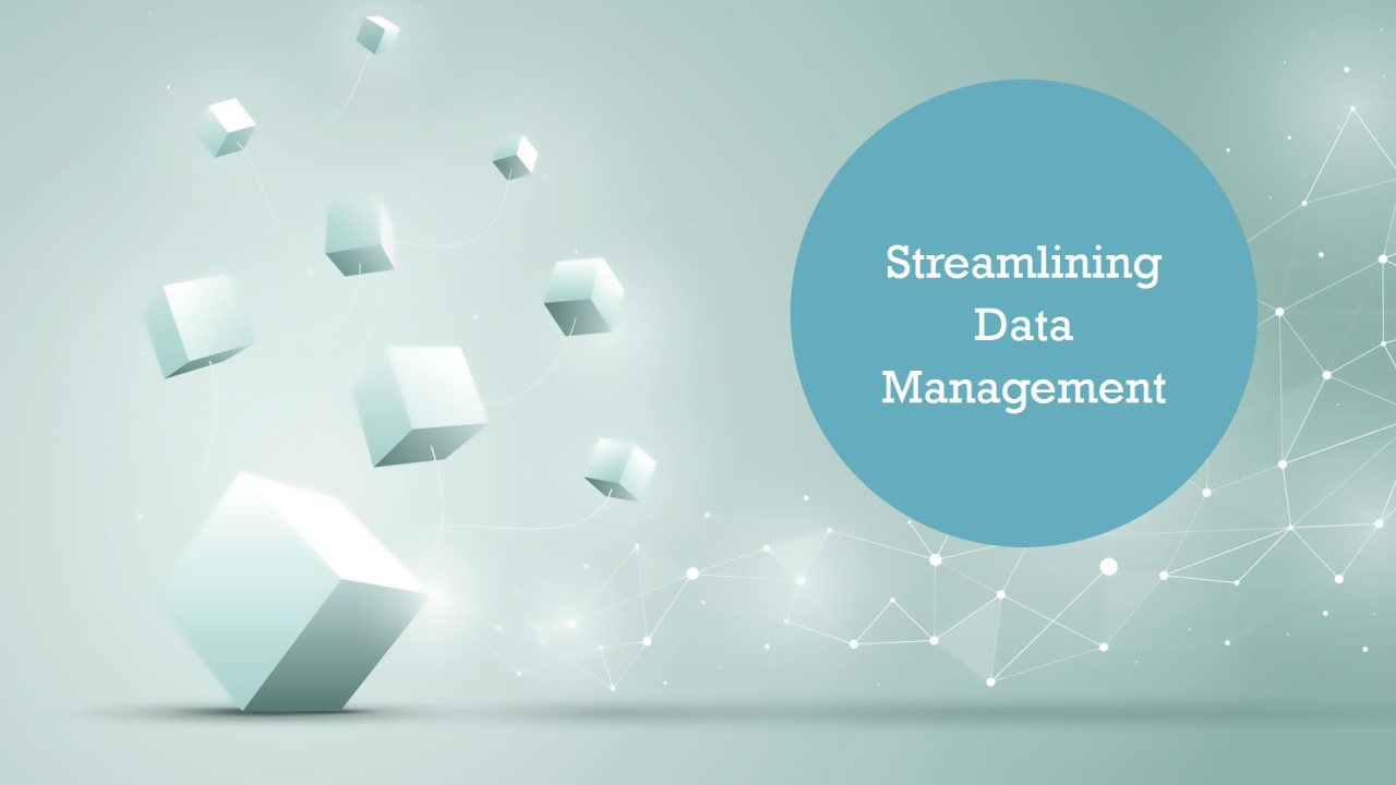 Streamlining Data Management: A Case Study on Successful Salesforce ... Streamlining Data Management: A Case Study on Successful Salesforce ...