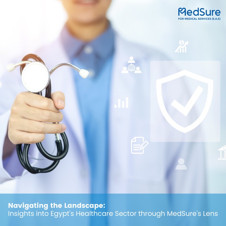 Navigating the Landscape: Insights into Egypt's Healthcare Sector ... Navigating the Landscape: Insights into Egypt's Healthcare Sector ...