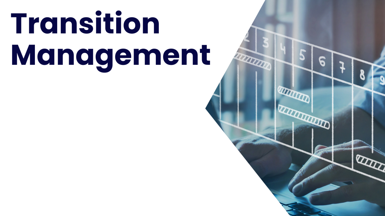 Transition Management - Introduction Transition Management - Introduction