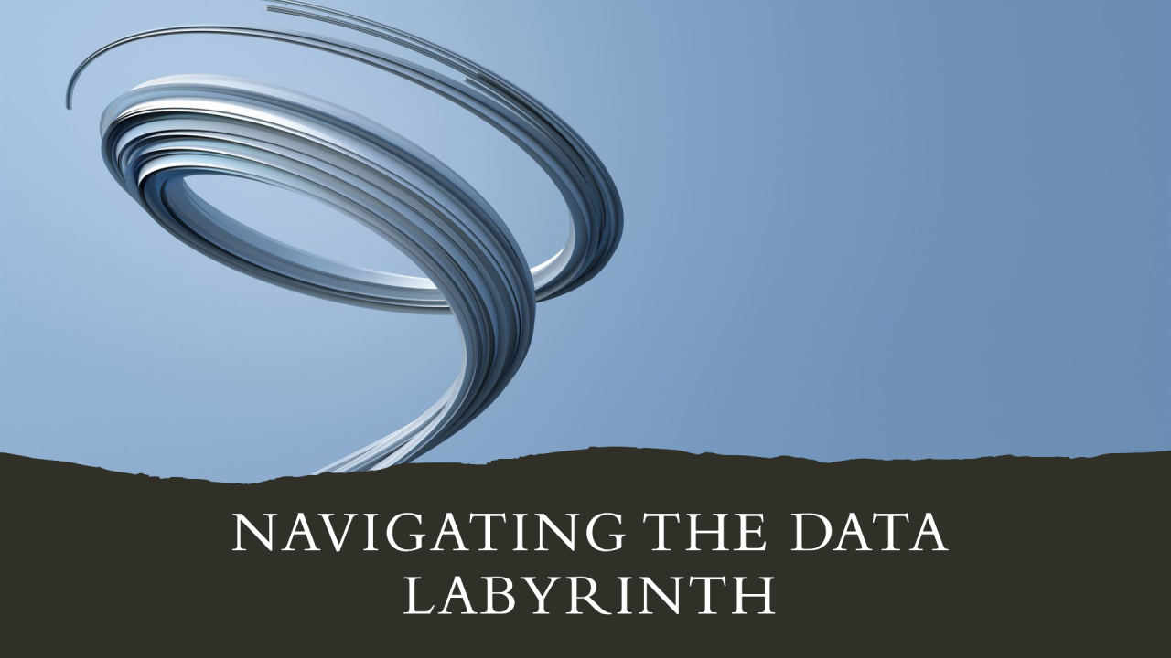 Navigating the Data Labyrinth: The Challenge of Measurement in ... Navigating the Data Labyrinth: The Challenge of Measurement in ...