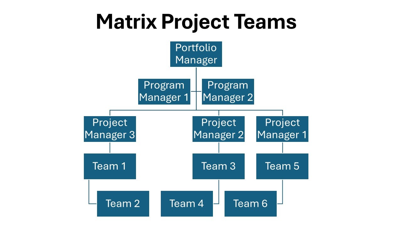 Understanding Matrix Project Teams: A Comprehensive Guide! Understanding Matrix Project Teams: A Comprehensive Guide!