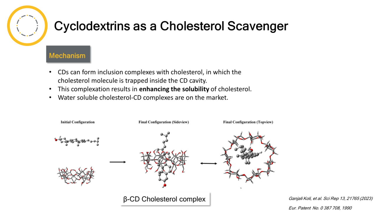 Are You Studying Cholesterol-Cyclodextrin Interaction? Are You Studying Cholesterol-Cyclodextrin Interaction?