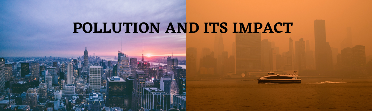 The Invisible Threat: Pollution and Its Impact The Invisible Threat: Pollution and Its Impact