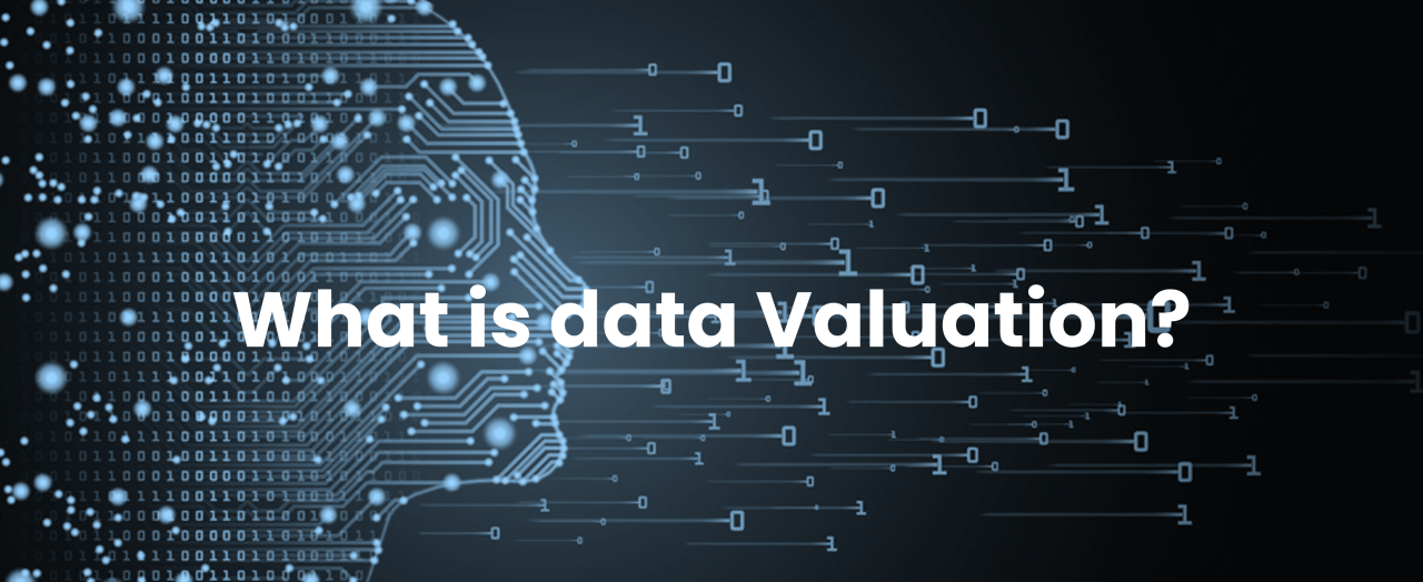 Practical Guide to Data Valuation Practical Guide to Data Valuation