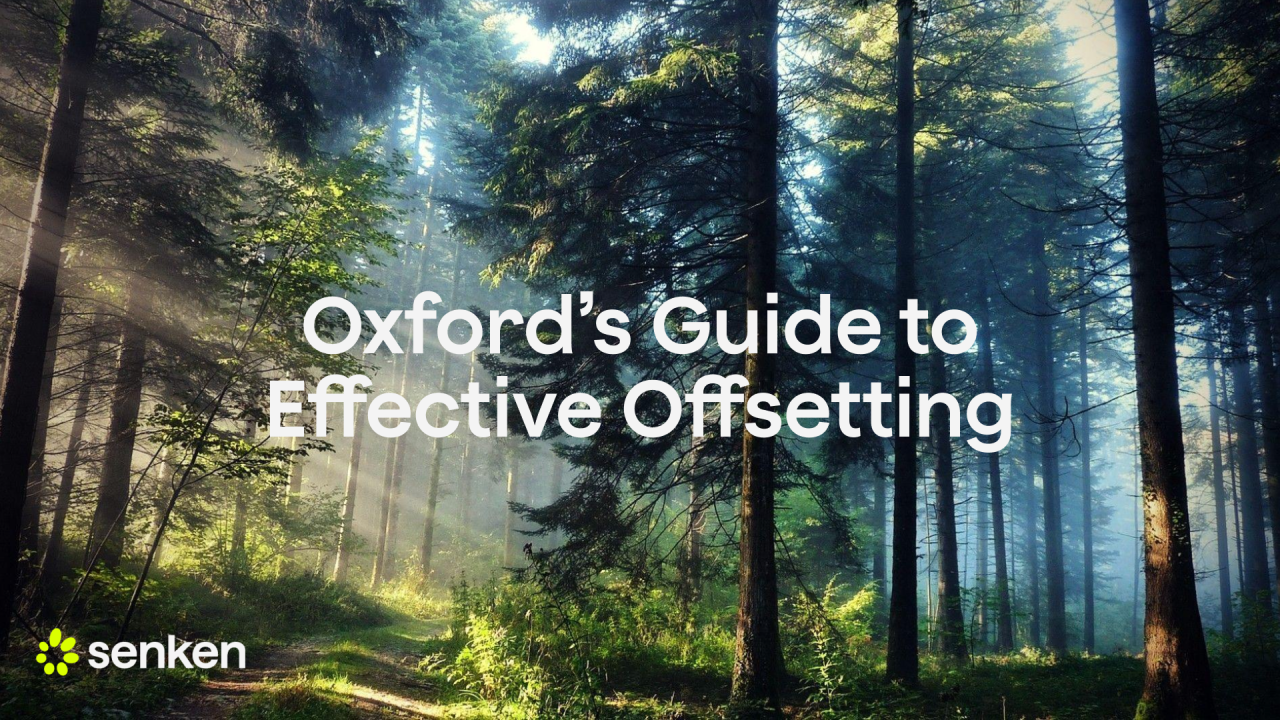 The Oxford Offsetting Principles The Oxford Offsetting Principles