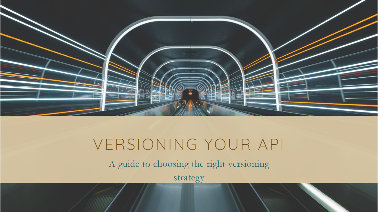 API Versioning Strategy API Versioning Strategy