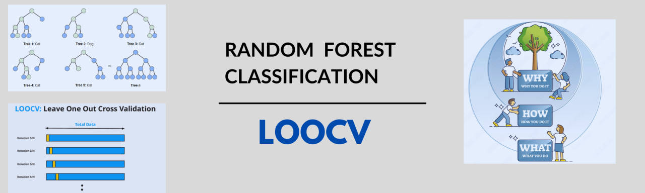 Random Forest Classification Using LOOCV Random Forest Classification Using LOOCV