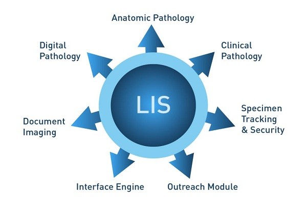 Laboratory Information Systems (LIS) Market Size & Share Sees Big ... Laboratory Information Systems (LIS) Market Size & Share Sees Big ...