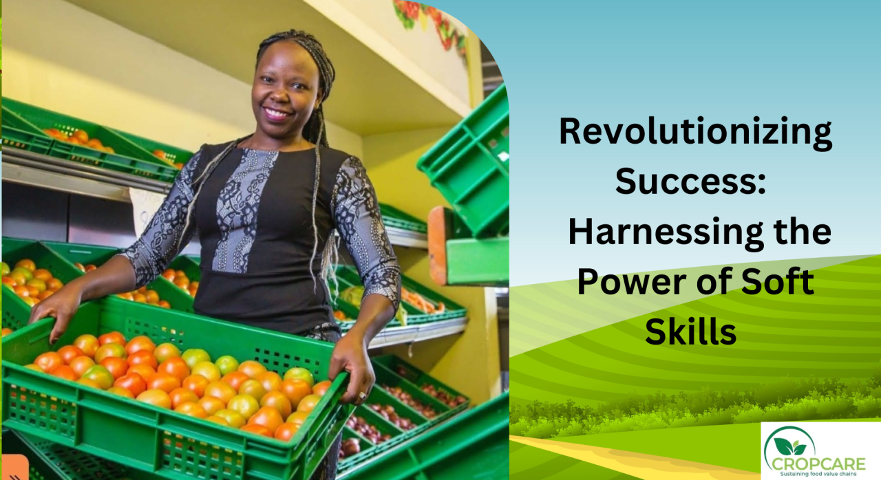 🌱 Revolutionizing Success: Harnessing the Untapped Potential of Soft ... 🌱 Revolutionizing Success: Harnessing the Untapped Potential of Soft ...