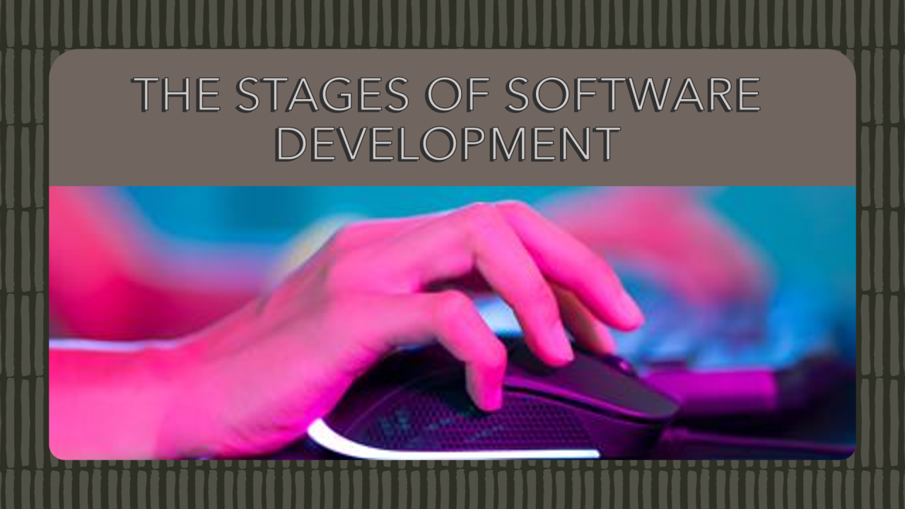 The Software Development Life Cycle (SDLC) The Software Development Life Cycle (SDLC)