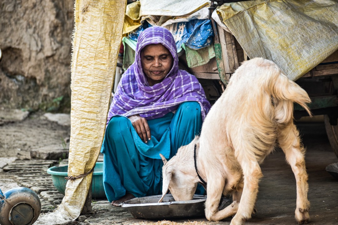Sustainable Practices for Environmental Management during Bakrid ... Sustainable Practices for Environmental Management during Bakrid ...