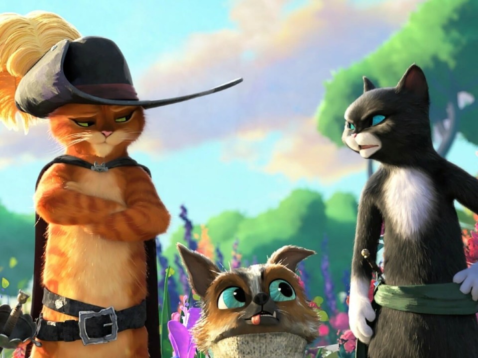 O filme do Gato de Botas se parece muito com o mercado de trabalho e eu ... O filme do Gato de Botas se parece muito com o mercado de trabalho e eu ...