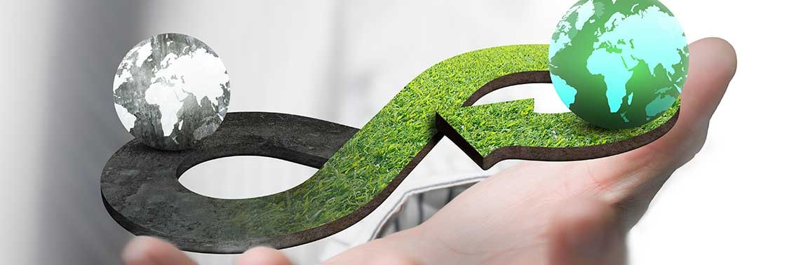 Circular Economy: Role of Technology in Navigating This Transition Circular Economy: Role of Technology in Navigating This Transition